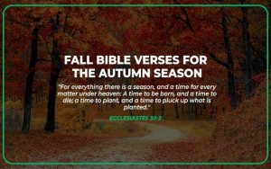 33 Fall Bible Verses for the Autumn Season - Scripture Savvy