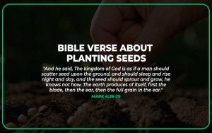 17 Bible Verse About Planting Seeds - Scripture Savvy