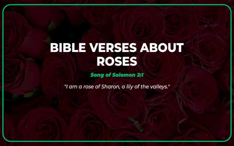 Top 25 Bible Verses About Roses - Scripture Savvy