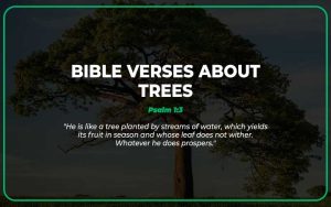 25 Important Bible Verses About Trees - Scripture Savvy