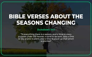 25 Bible Verses about The Seasons Changing - Scripture Savvy