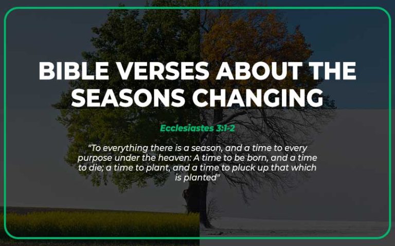 25 Bible Verses about The Seasons Changing - Scripture Savvy