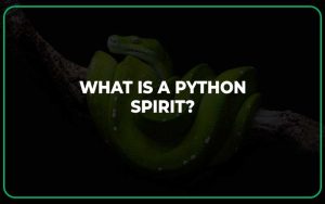 What Is a Python Spirit? (Everything to Know) - Scripture Savvy