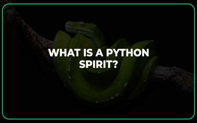 What Is a Python Spirit? (Everything to Know) - Scripture Savvy