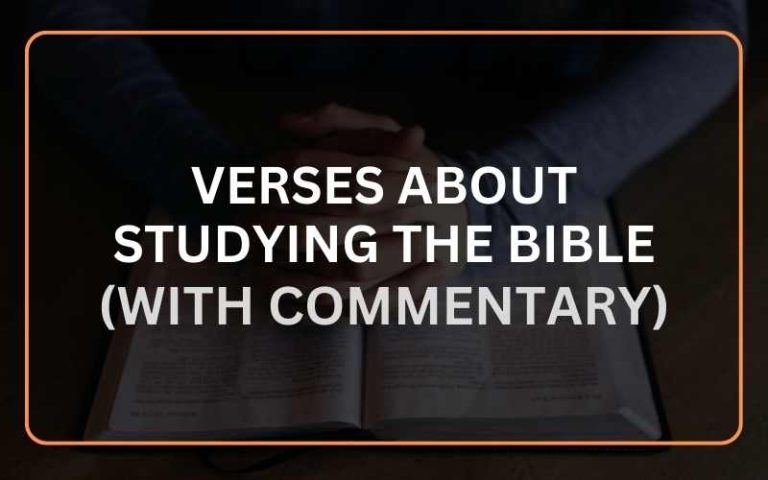Top 20 Bible Verses About Studying The Bible (With Commentary) - Scripture Savvy