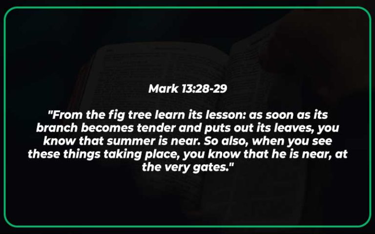 Best 20 Bible Verses About Seasons (With Commentary) - Scripture Savvy