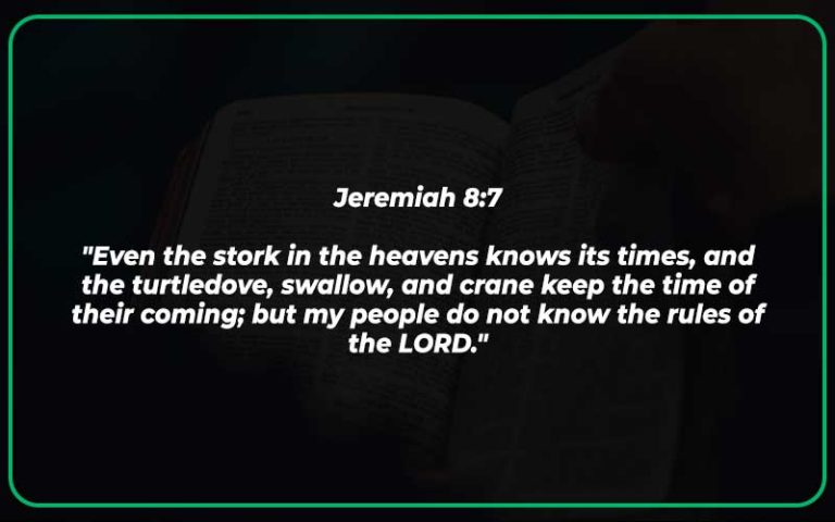 Best 20 Bible Verses About Seasons (With Commentary) - Scripture Savvy