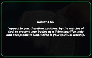 25 Important Bible Verses About Discipleship (With Commentary ...