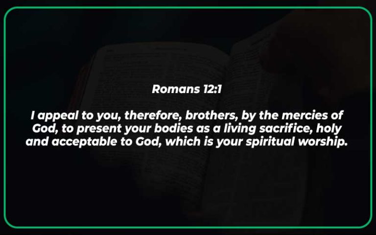 25 Important Bible Verses About Discipleship (With Commentary ...