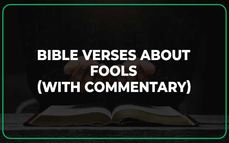 23+ Bible Verses About Fools (With Commentary) - Scripture Savvy