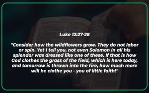 25 Bible Verses About Care (With Commentary) - Scripture Savvy