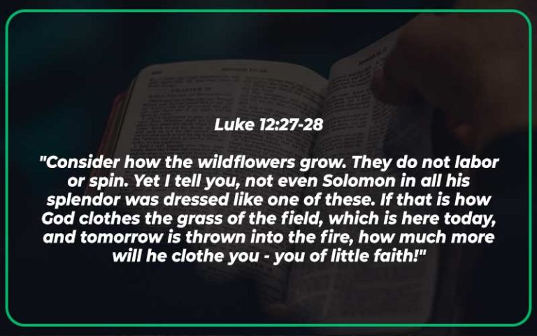 25 Bible Verses About Care (With Commentary) - Scripture Savvy