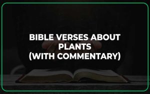 25 Important Bible Verses About Plants (With Commentary) - Scripture Savvy