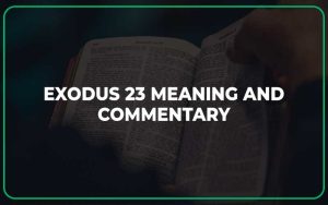 Exodus 23 Meaning and Commentary - Scripture Savvy