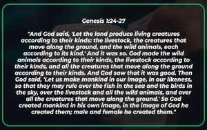Genesis 1:24-27 Meaning and Explanation - Scripture Savvy