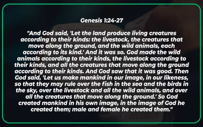 Genesis 1:24-27 Meaning and Explanation - Scripture Savvy