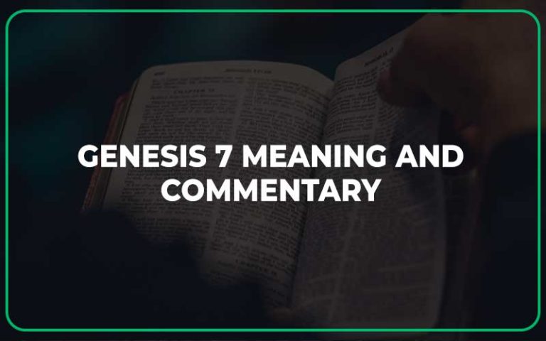 Genesis 7 Meaning and Commentary - Scripture Savvy