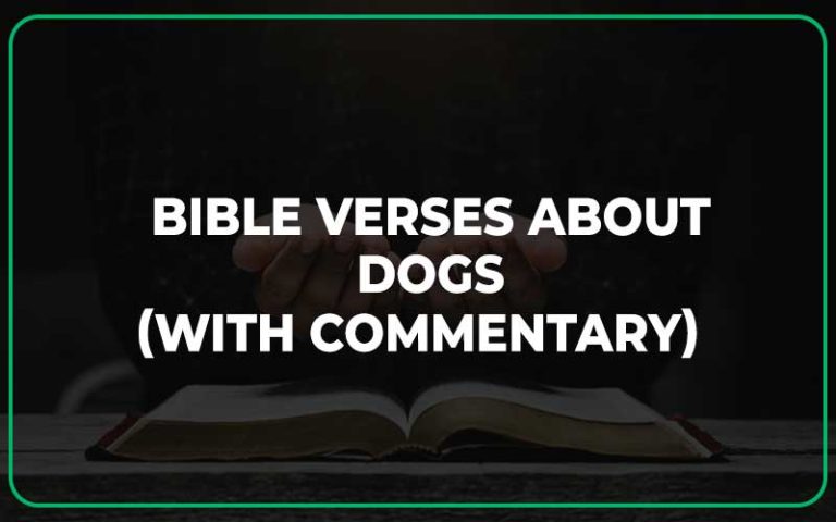 25 Bible Verses About Dogs (With Commentary) - Scripture Savvy