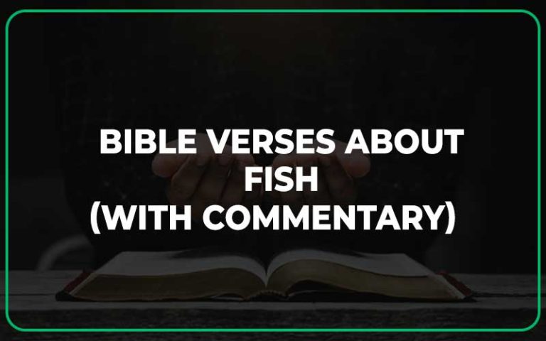 25 Bible Verses About Fish (With Commentary) - Scripture Savvy