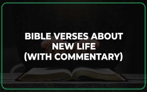 30 Important Bible Verses About New Life (With Commentary) - Scripture ...
