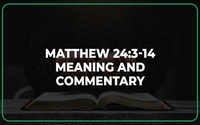 Matthew 24:3-14 Meaning and Commentary - Scripture Savvy
