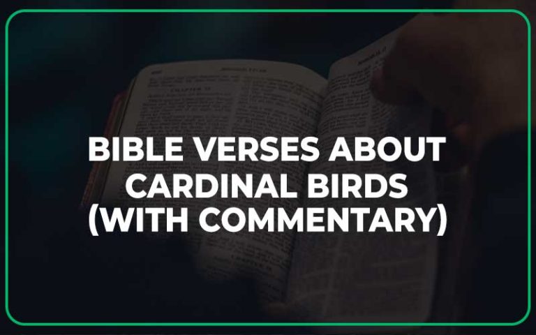25 Bible Verses About Cardinal Birds (With Commentary) - Scripture Savvy