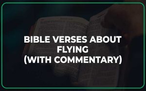 25 Bible Verses About Flying (With Commentary) - Scripture Savvy