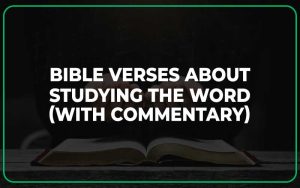 25 Bible Verses About Studying The Word (With Commentary) - Scripture Savvy